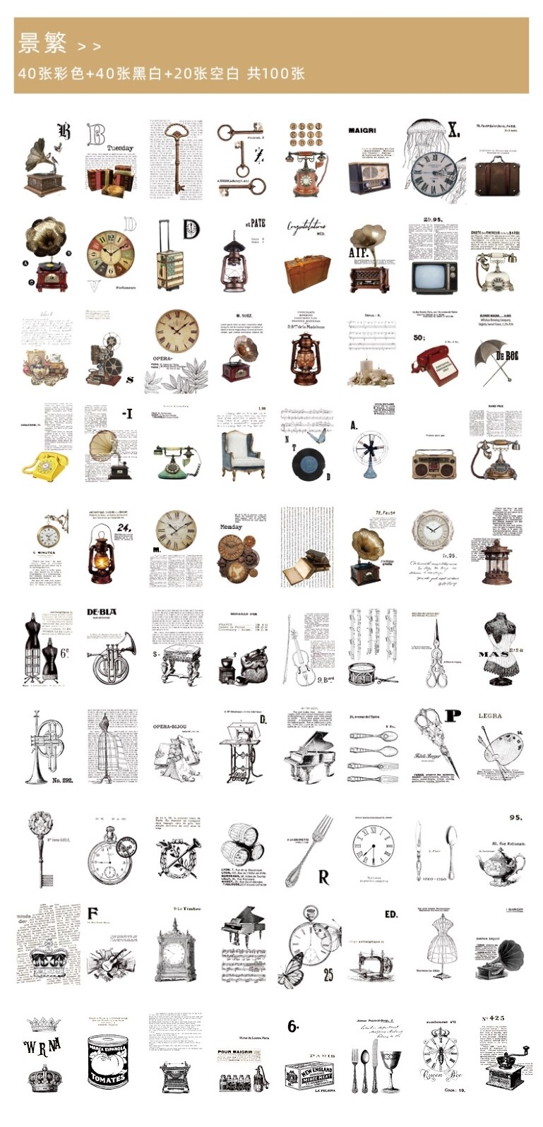 Vintage Plantillustrated Bullet Journal Transparen... – Vicedeal