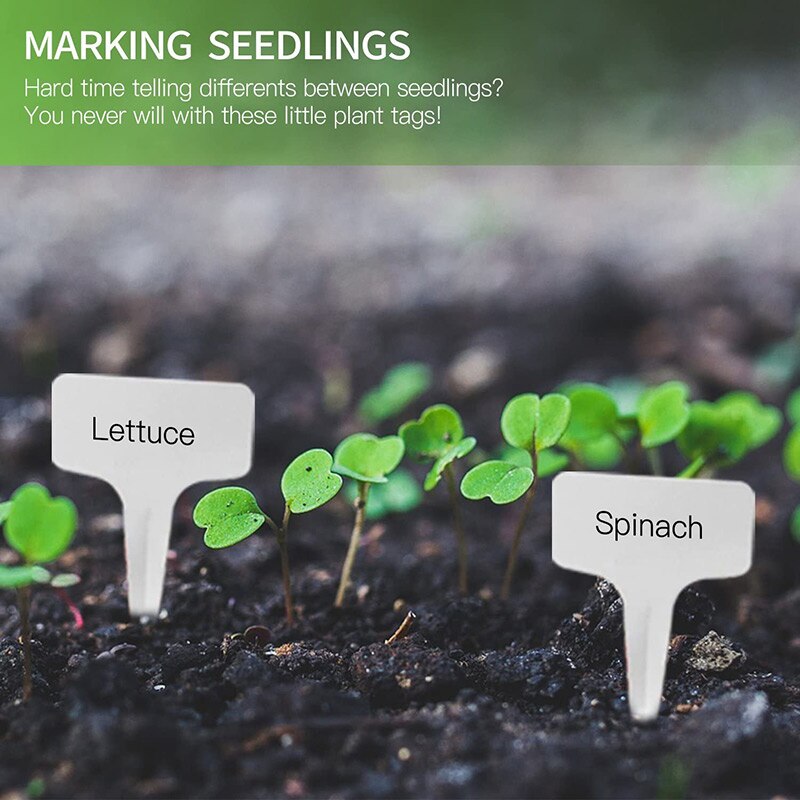 Garden Labels Gardening Plant Sorting Sign Plastic... – Grandado