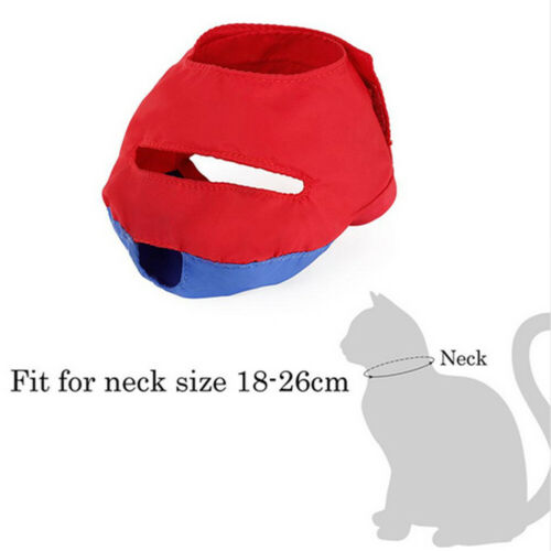 Wassen Kat Grooming Snuit Voorkomen Kat Bite Schoo... – Grandado