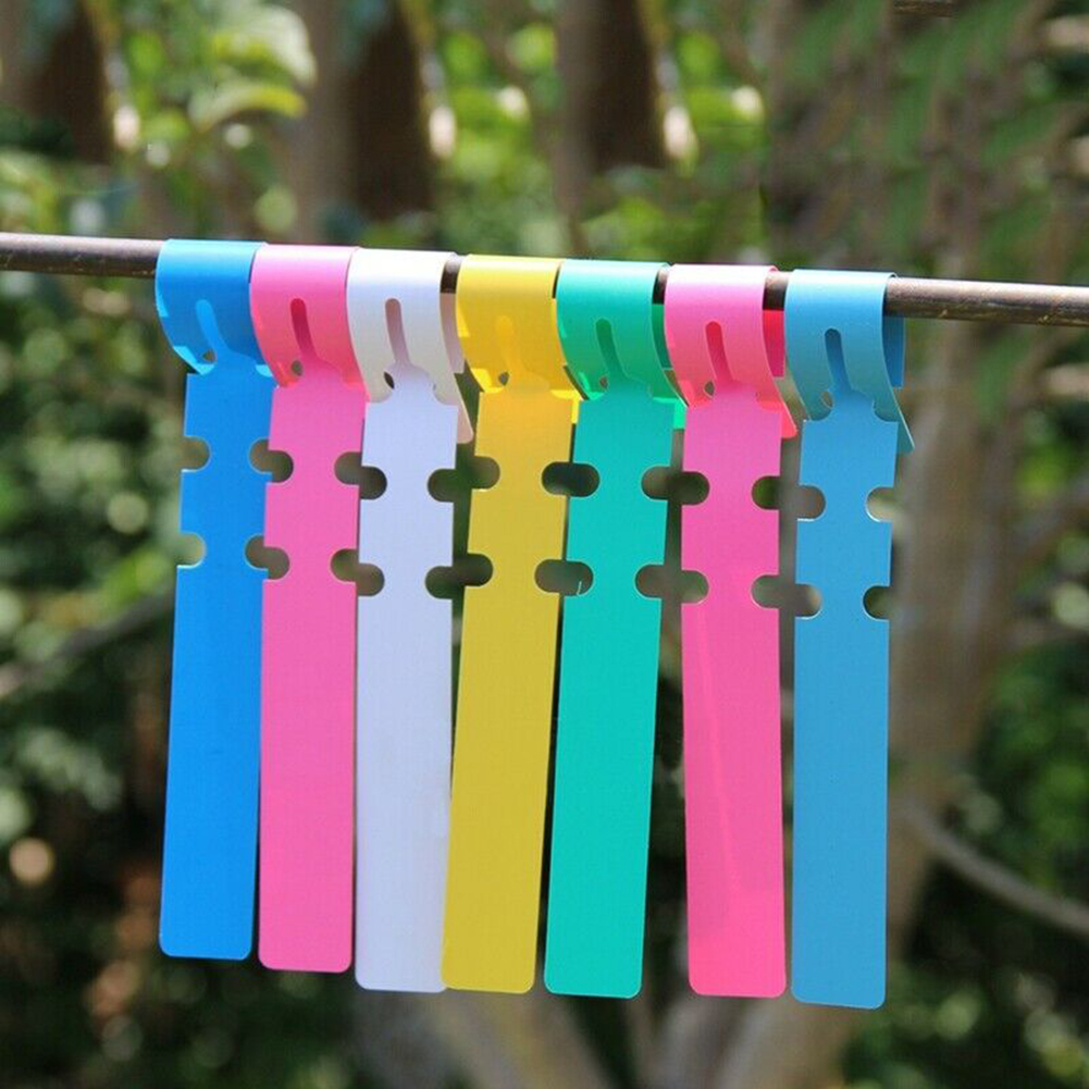 100PCS Plant Tags Garden Nursery Label Hanging Tre... – Grandado