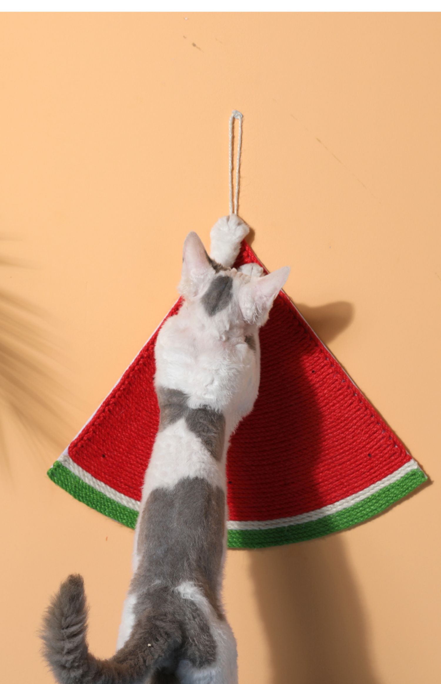 Cat Scratching Board Red Watermelon Shaped Sisal C... – Vicedeal