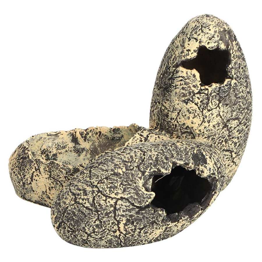 Carnivore Skull 7 Styles Resin Reptile Snake Lizar... – Grandado