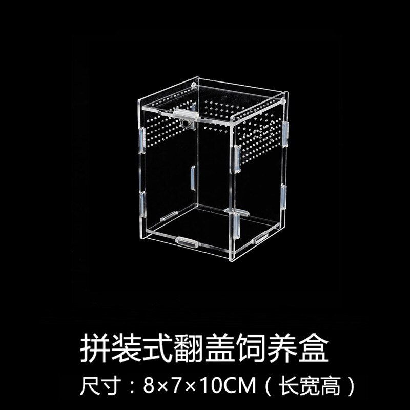 1PCS Crawler Box Acrylic Spider Ant Lizard Horned ... – Grandado