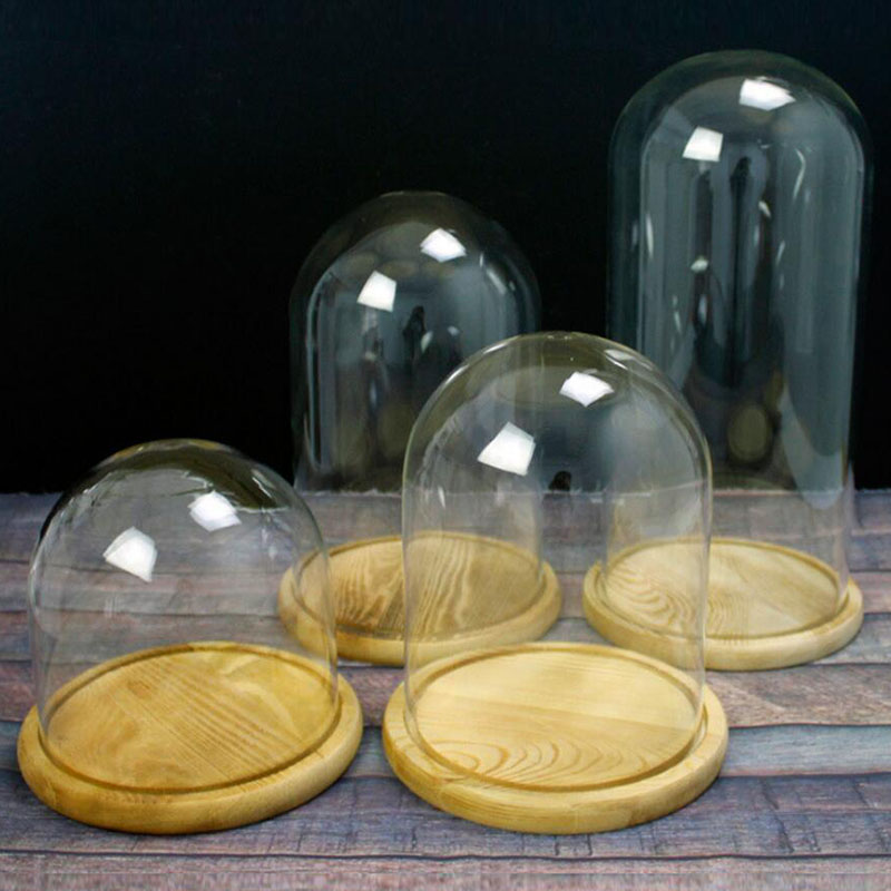 Ornament storage Bell Glass Bell Jar Shade Glass D... – Vicedeal