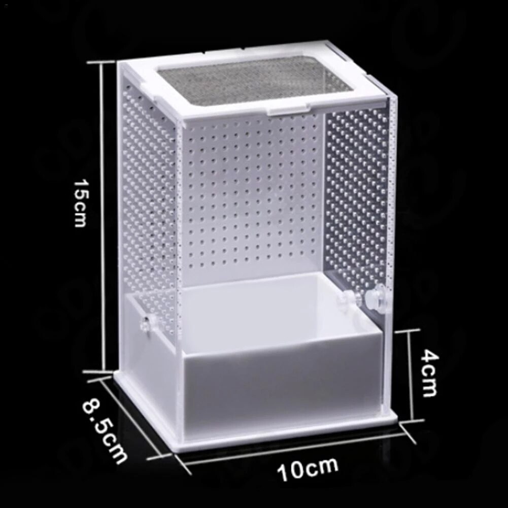 Transparant Acryl Reptiel Voerbox Insect Doos Pray... – Vicedeal