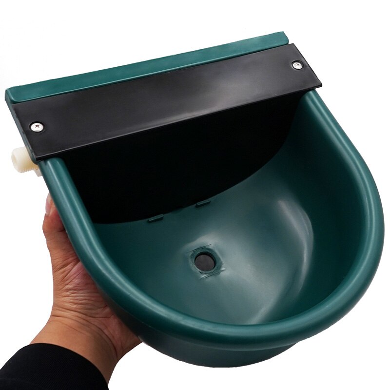 4L Cattle Goat Water Drinker Bowl Automatic Watere... – Grandado