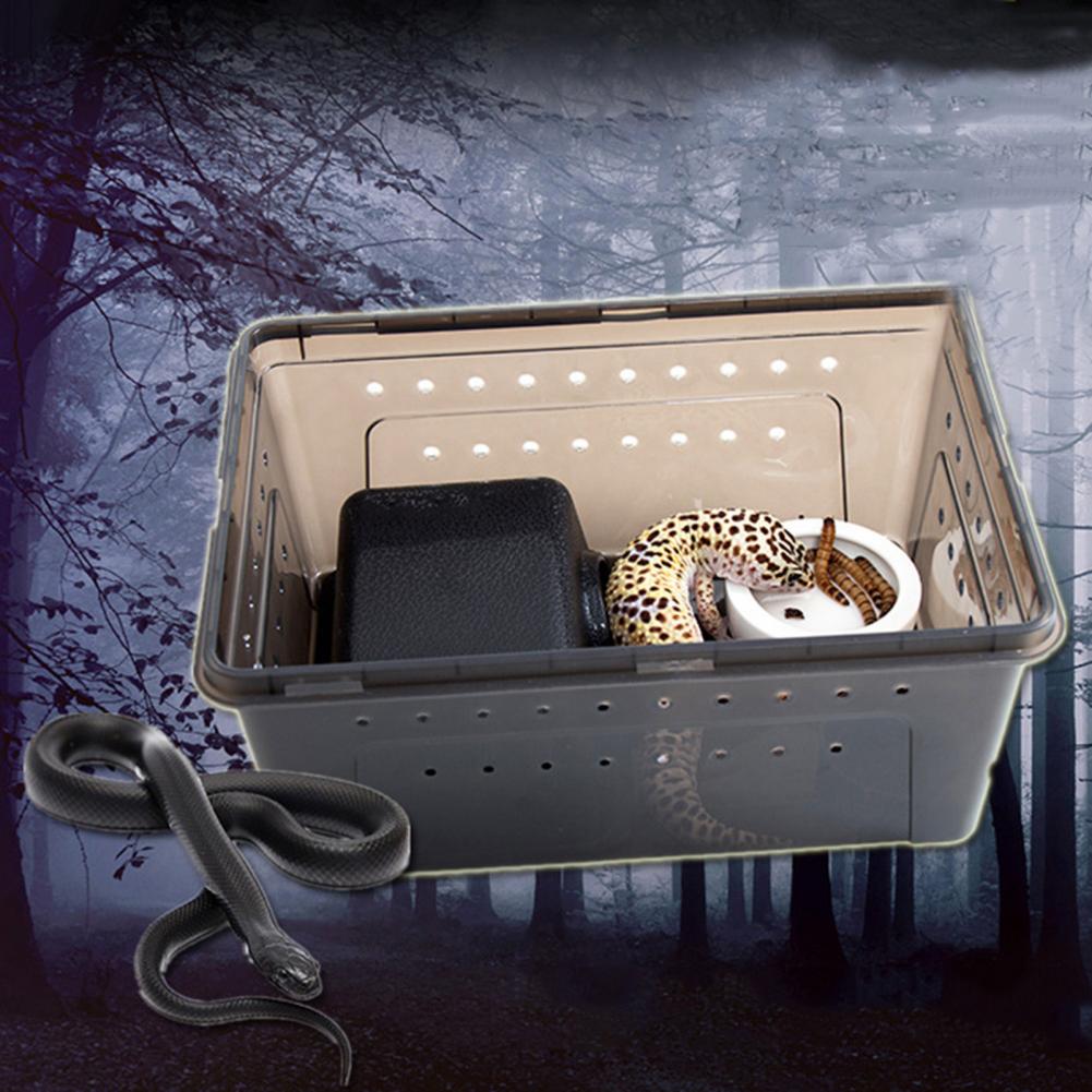 Popular Feeding Box Excellent Clarity Plastic Hatc... – Grandado