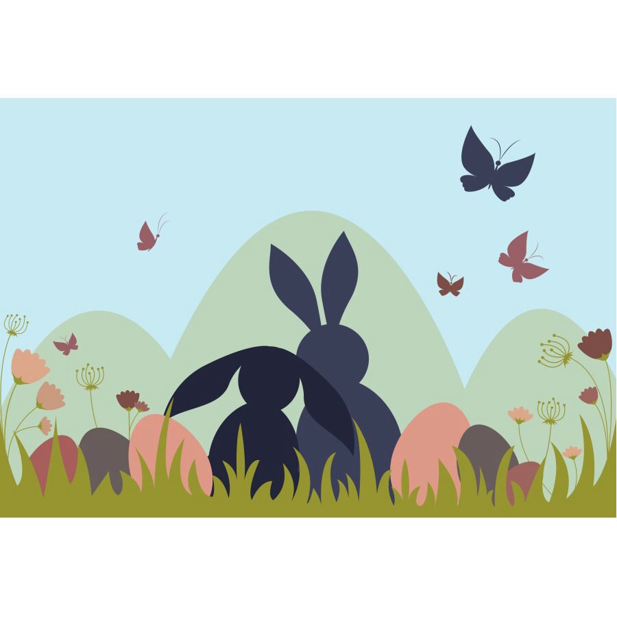Two Black Rabbit Photography Background Photo Boot... – Vicedeal