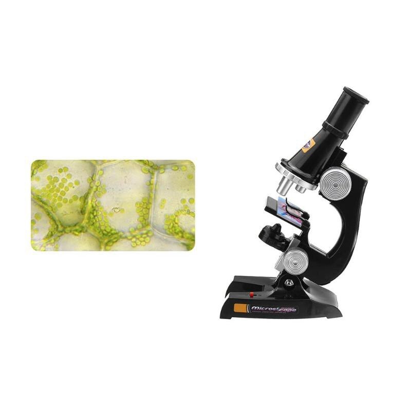 Microscope Kit Lab Led 100X/200X/450X Homeschool S... – Grandado