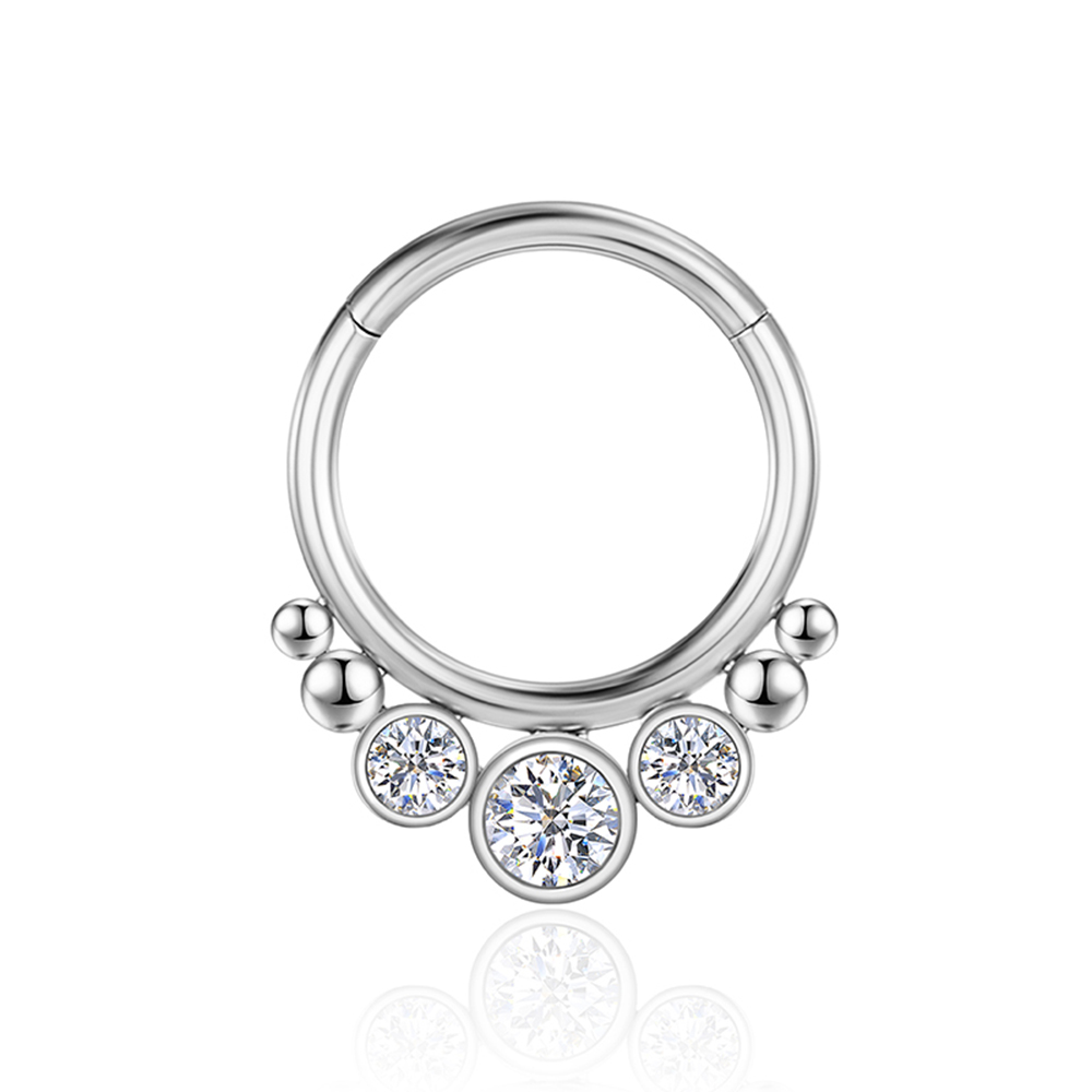 Titanium Piercing Neus Ringen Scharnierend Segment... – Grandado