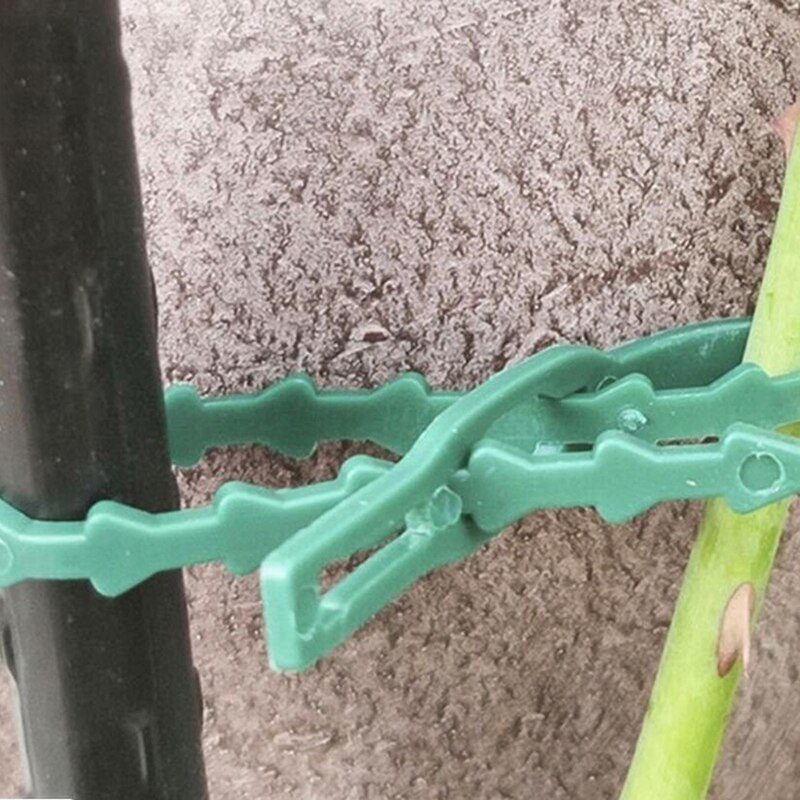 50pcs/lot Reusable Gardening Helper Multi-use Ties... – Grandado