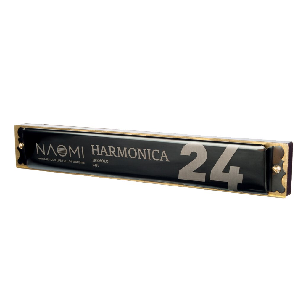 24 Holes Key Of C Tremolo Harmonica Mouth Organ Be... – Grandado