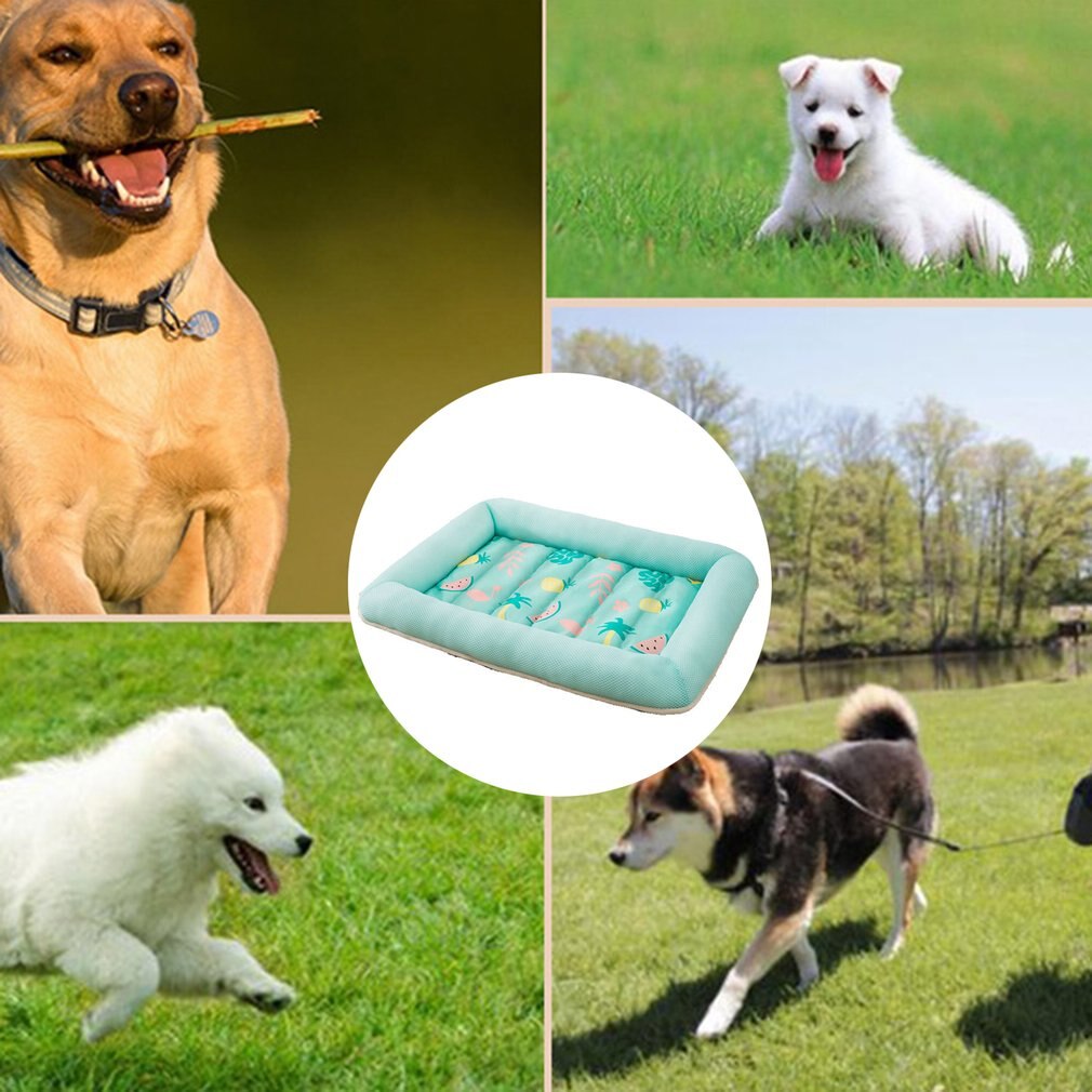 Zomer Ijs Mat Hond Huis Hond Mat Hoge Veerkracht S... – Grandado