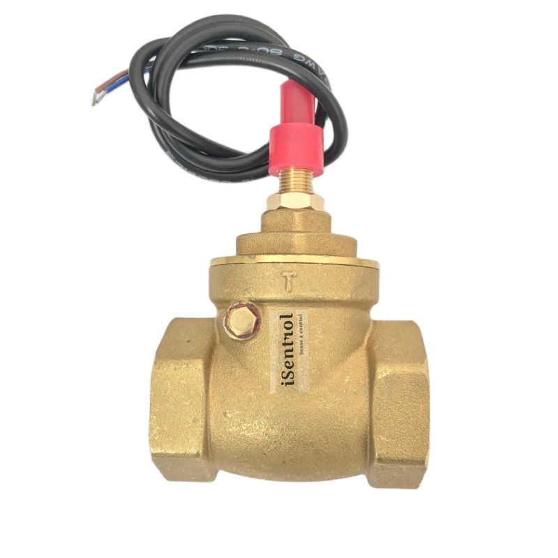 USB-FS10TA Baffle Type Flow Sensor Schakelaar Riet... – Grandado