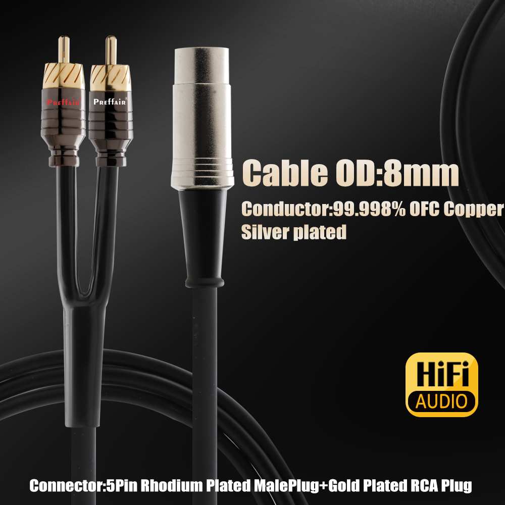 Hi-End Naim 5-Pin DIN to 2 RCA Male Adapter Cable ... – Grandado