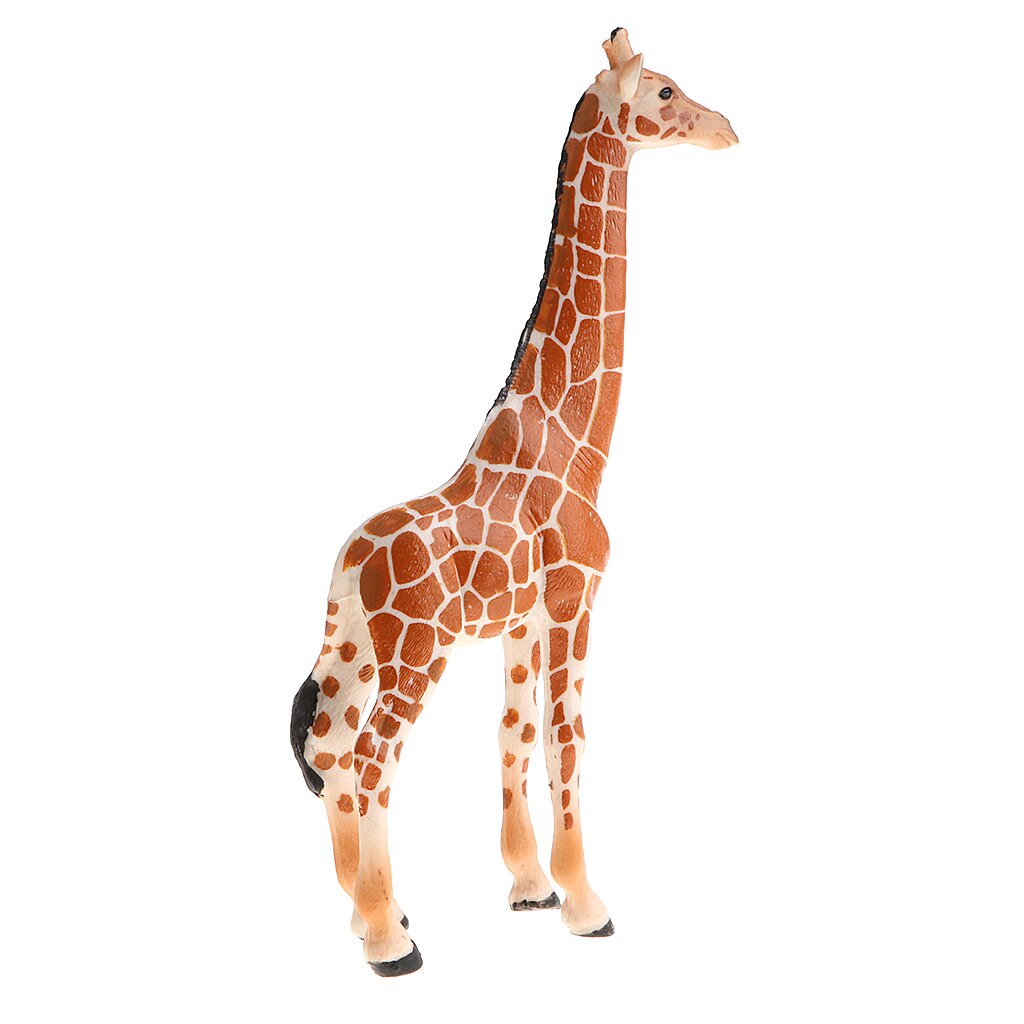 Realistic Animal Model Kids Educational Toy Kids H... – Grandado