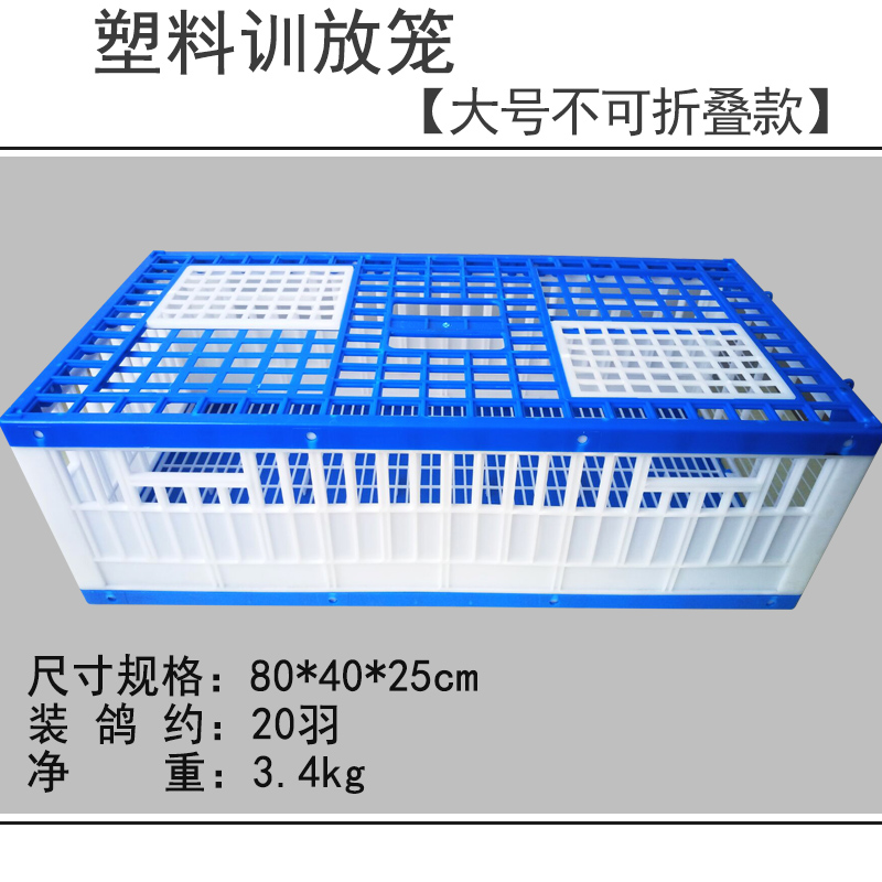 25-40 Pigeons Foldable Plastic Racing Pigeon Trans... – Grandado