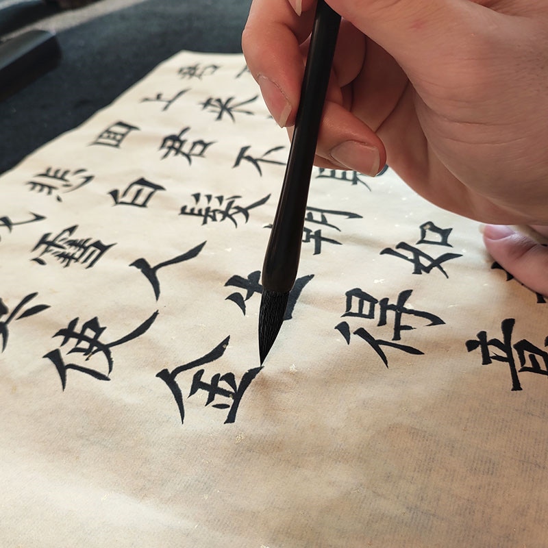 Chinese Haar Borstel Pen Maobi Art Penselen Voor S... – Grandado