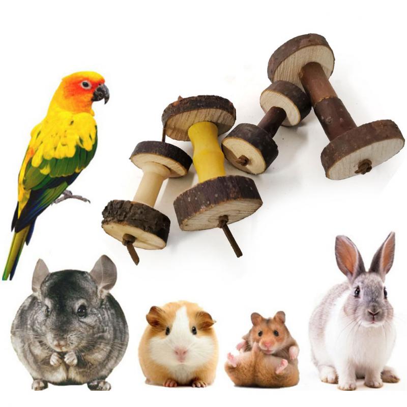 Hamster Log Wooden Toy Rabbit Molar Roller Parrot ... – Vicedeal