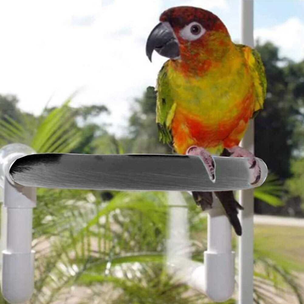 Papegaai Stand Leuke Speelgoed Vogel Douche Baars ... – Grandado