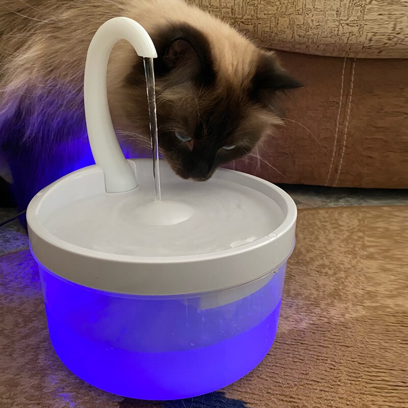 2L Cat Water Fountain LED Blue Light USB Powered A... – Grandado