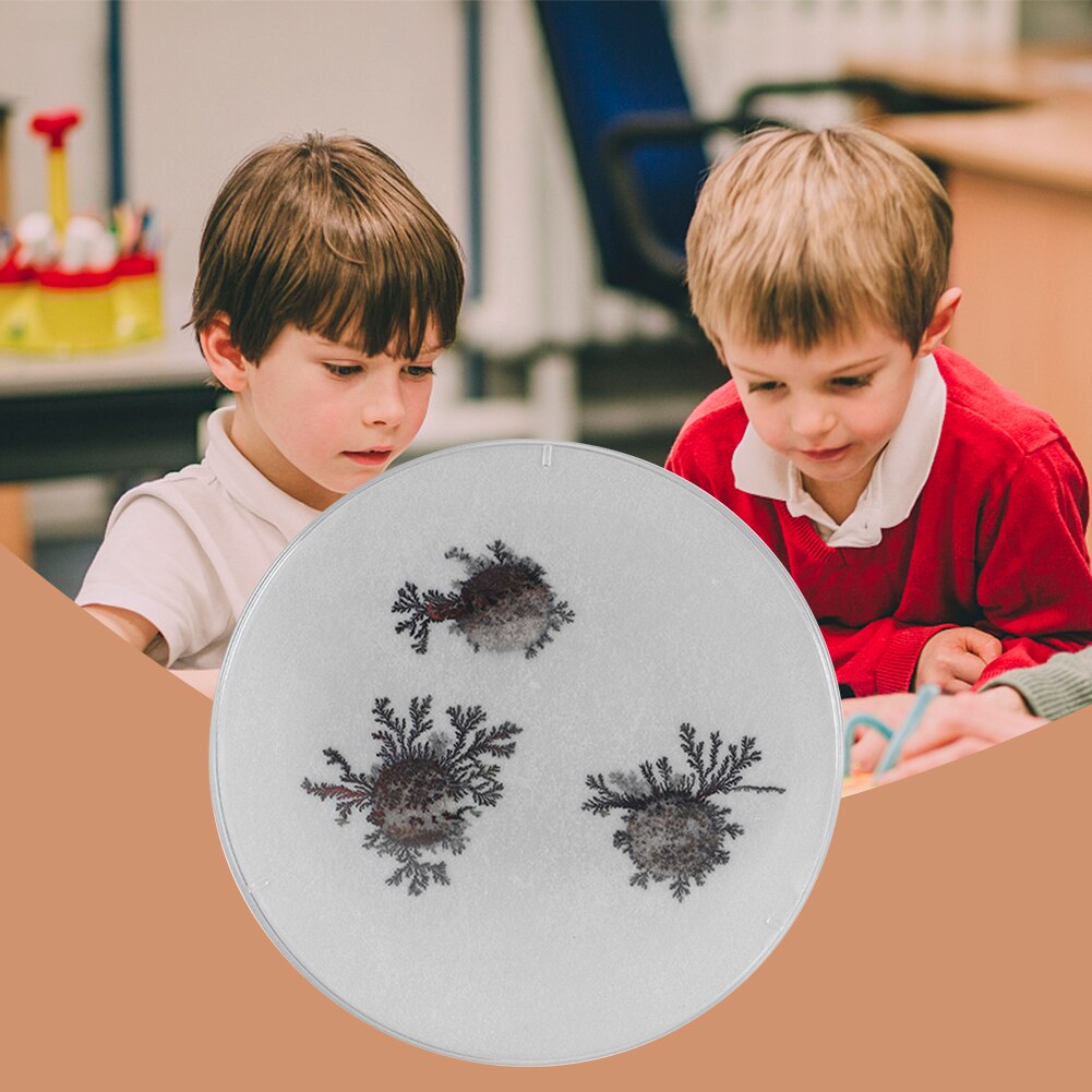 DIY Iron Tree Flowers Materials Kit Fun Small Inve... – Grandado