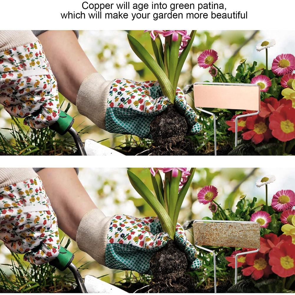 24Pcs Gardening Stainless Steel Plant Nameplate La... – Grandado