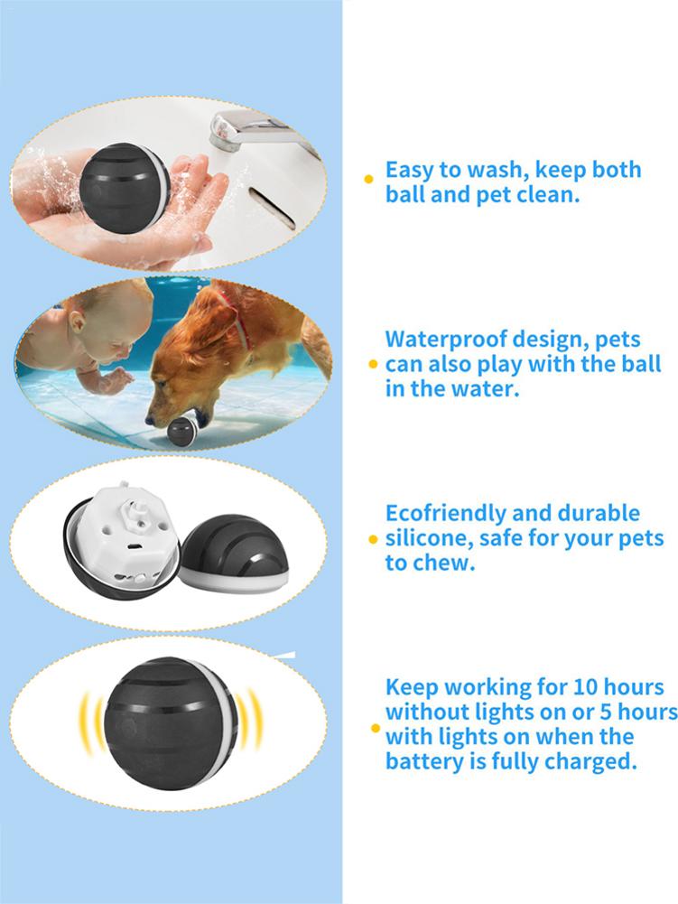 2nd Generation Waterproof Pet Wicked Ball Anti-bit... – Grandado