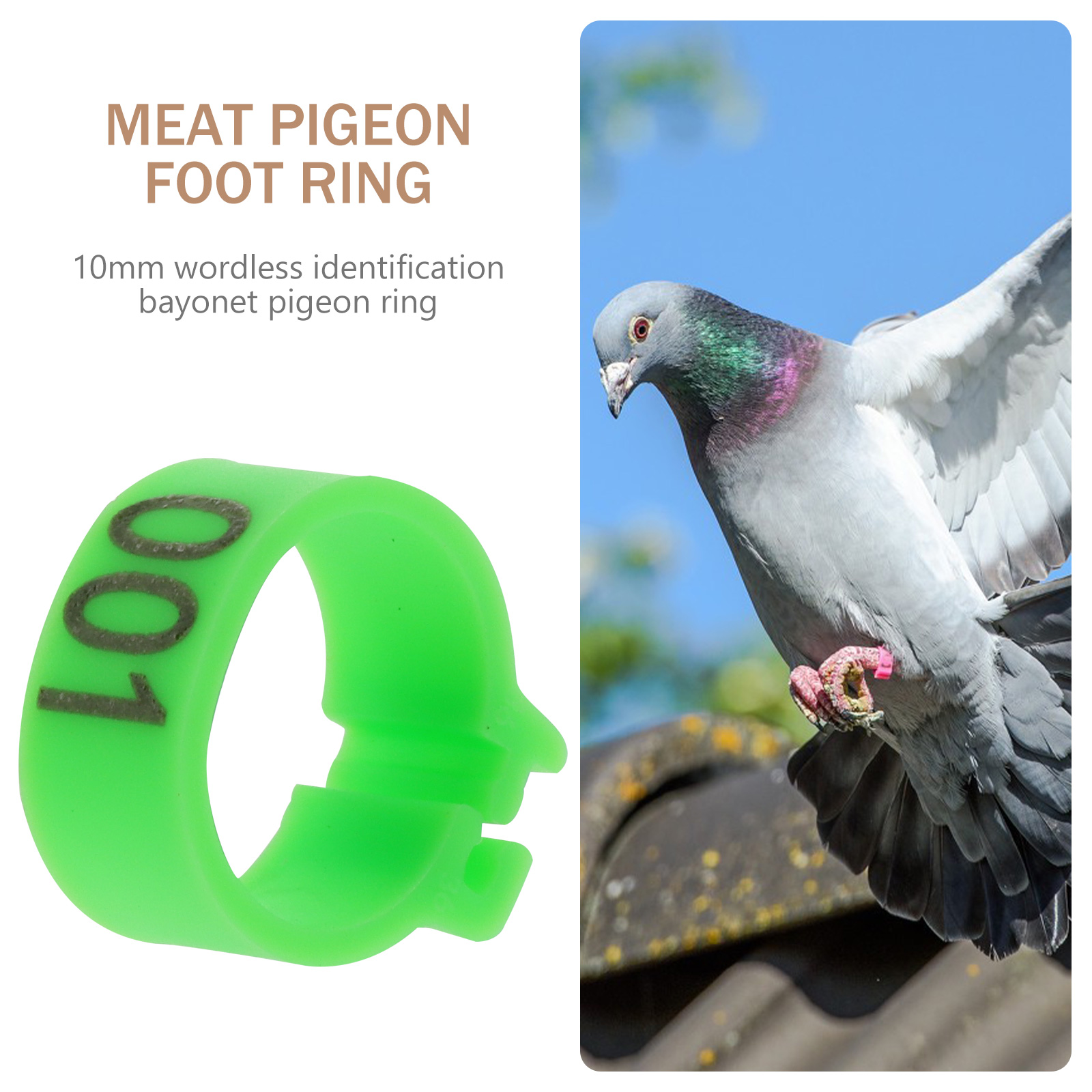 100 Pcs Pigeon Feet Rings Pigeon Leg Rings Plastic... – Grandado