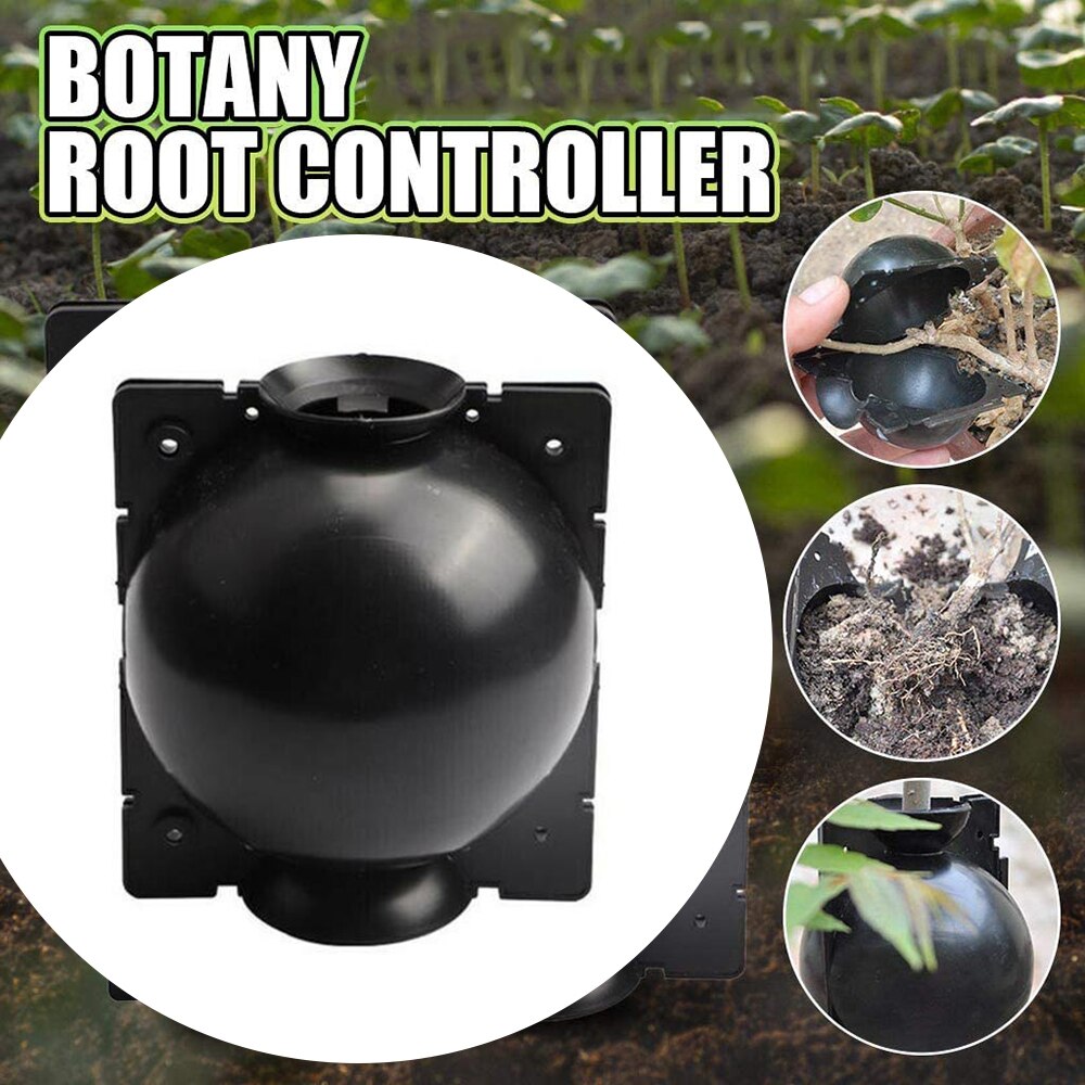 1/5pcs Plant Rooting Ball Grafting Rooting Growing... – Grandado