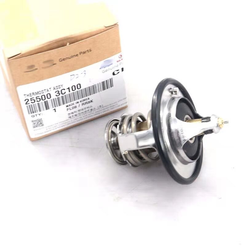 Termostato original OEM 25500-3C100 para Hyundai V... – Grandado