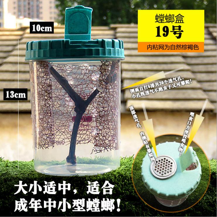 Plastic cubic mantis box crystal insect tank littl... – Vicedeal