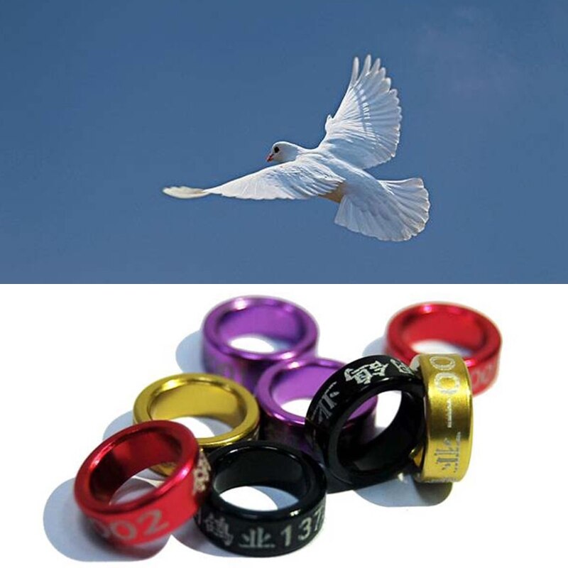 30 Pcs Mixing Color Pigeon Bands Bird Foot Ring Sp... – Grandado