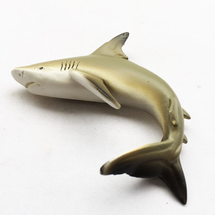 stereo shark fridge magnet maldives souvenir 3D ki... – Grandado