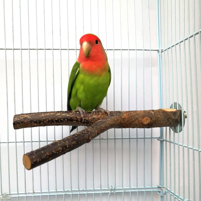 Pet Parrot Bird Standing Stick Wood Pole Bird Cock... – Grandado