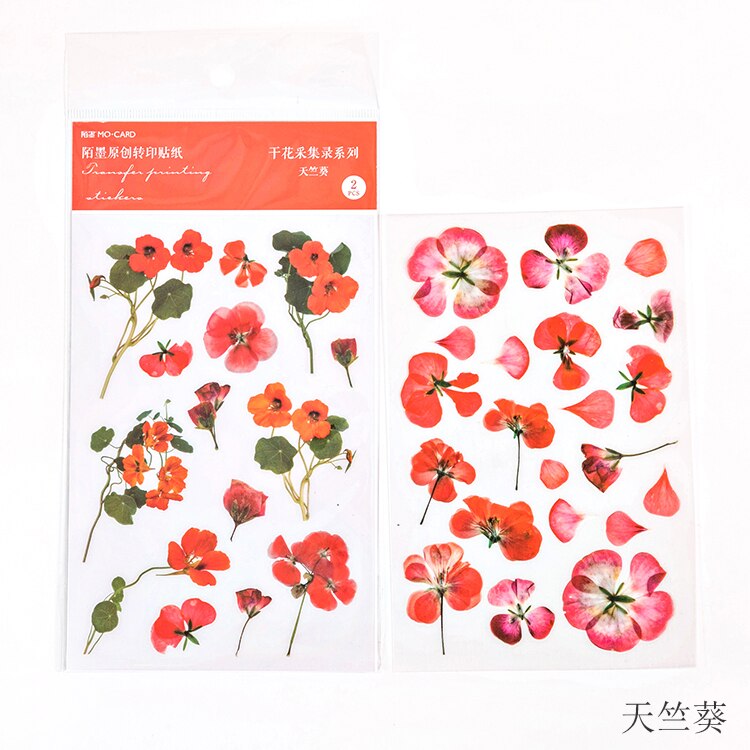 2 pcs/pack Natural Iris Daisy Flower Transfer Prin... – Grandado