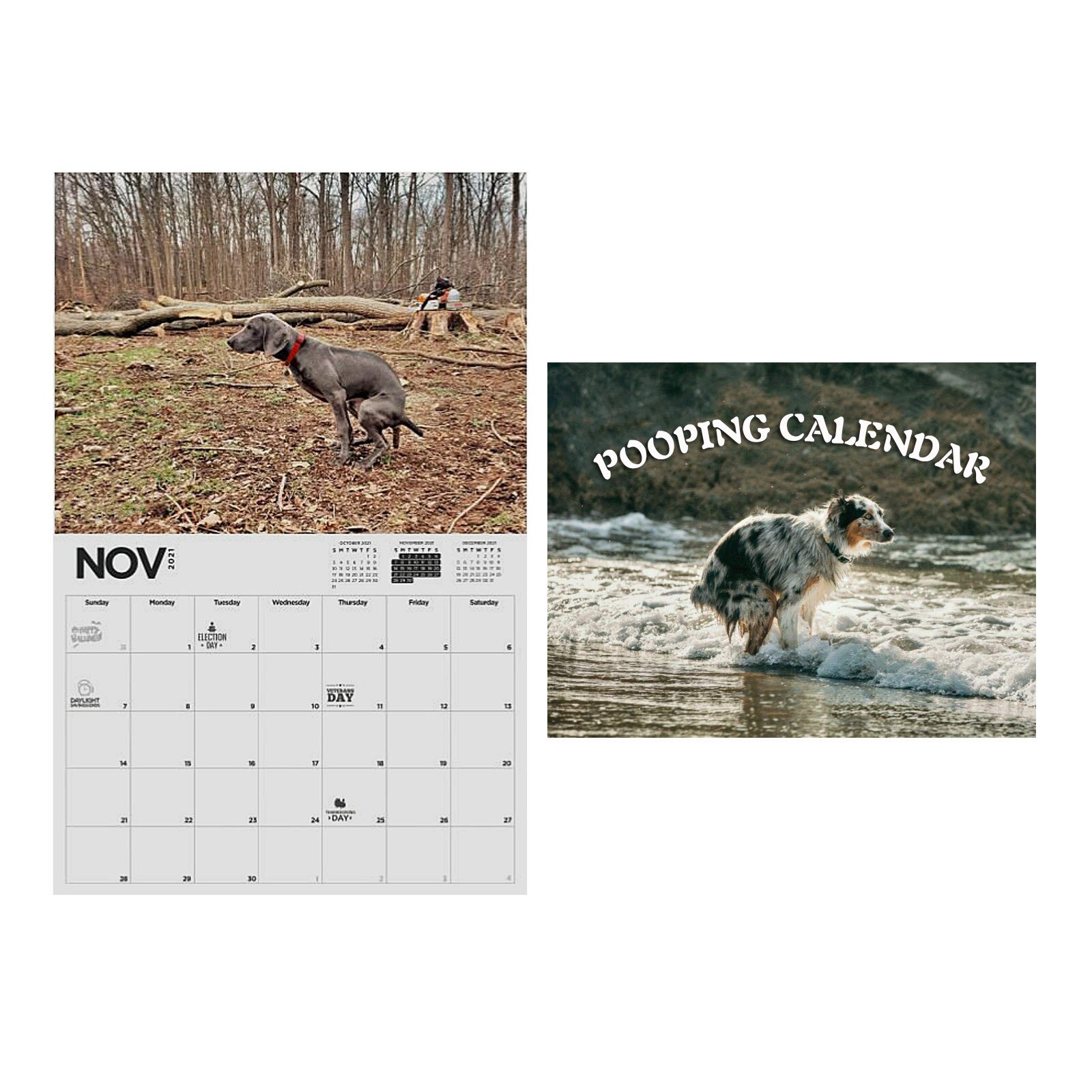 Dogs Pooping Calendar Wall Calendar 12-Month Sched... – Grandado
