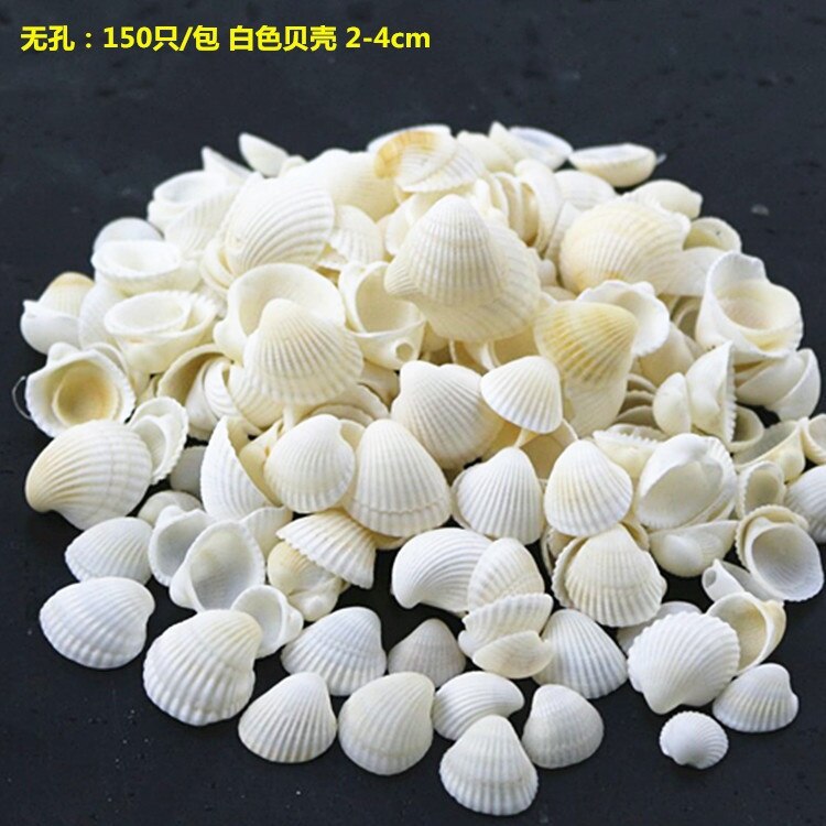 White Clam Cay Cay Sea Shells for Home Decorations... – Vicedeal