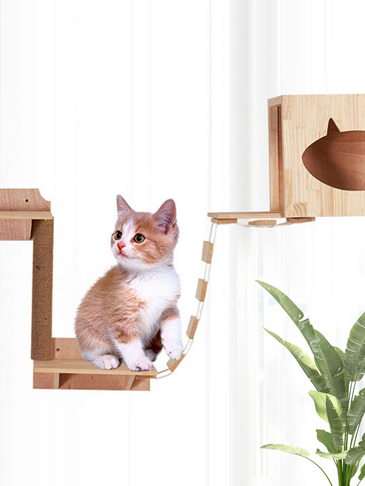 Cat Bridge Climbing Frame Pet Hammock Wall Mounted... – Grandado