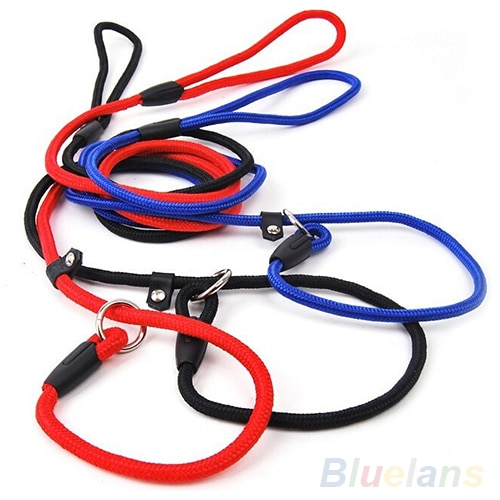 Pet Dog Nylon Rope Training Leash Slip Lead Strap ... – Grandado