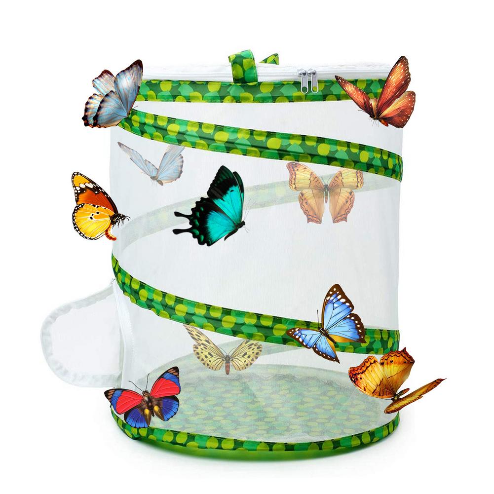 Green collapsible insect cage Mesh Insect Habitat ... – Vicedeal