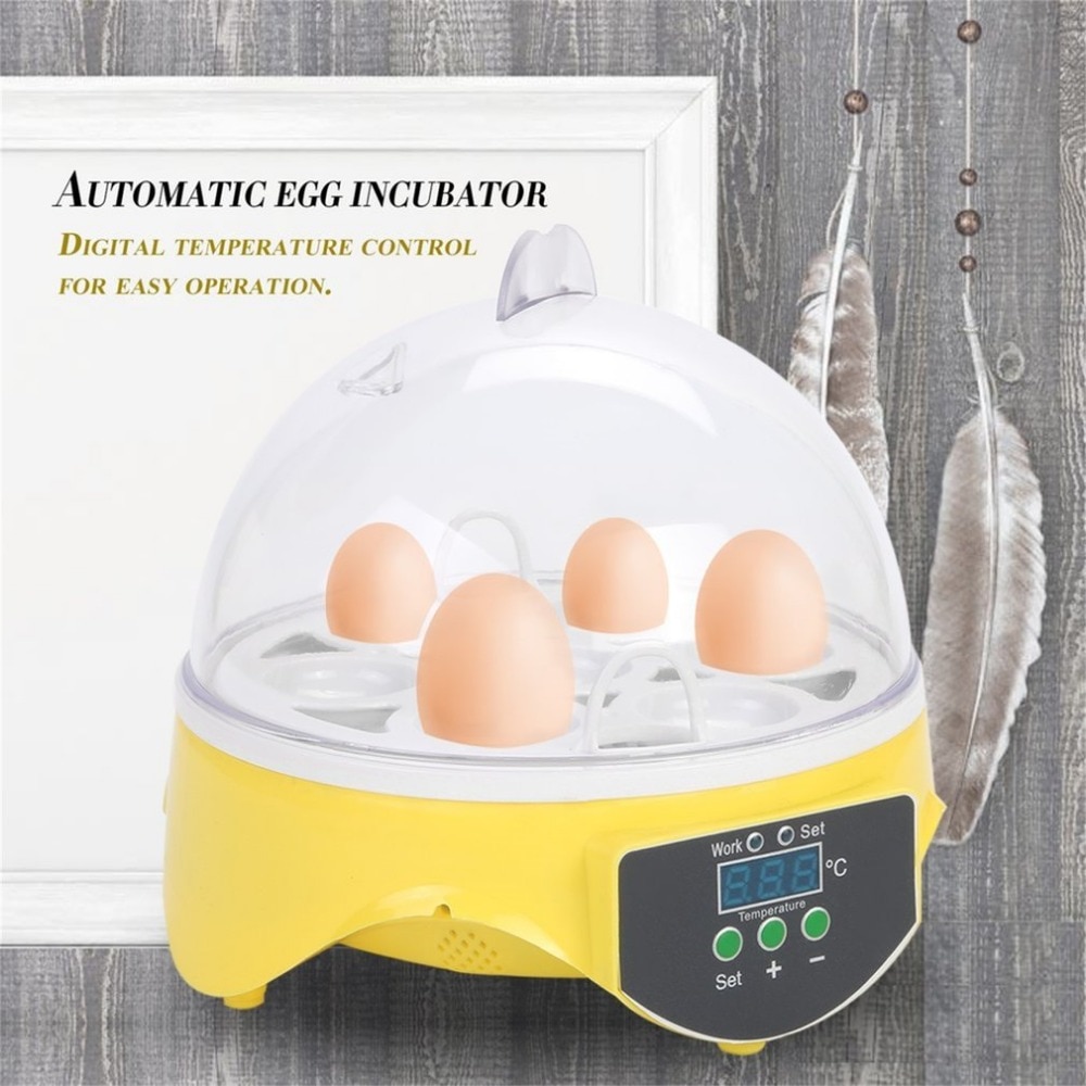 7 Eggs Capacity Chicken Eggs Bird Incubator Egg Ra... – Grandado