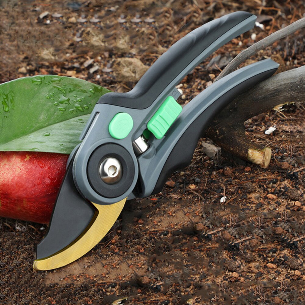 Tuin Schaar Enten Tool Fruit Boom Snoeien Snoeisch... – Vicedeal