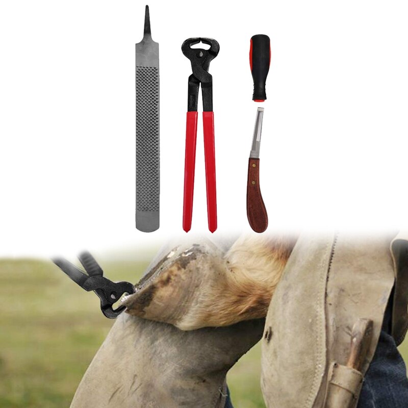 ! 4 Stuks Farrier Hoof Trim Tool Kit Voor Hoof Nip... – Grandado