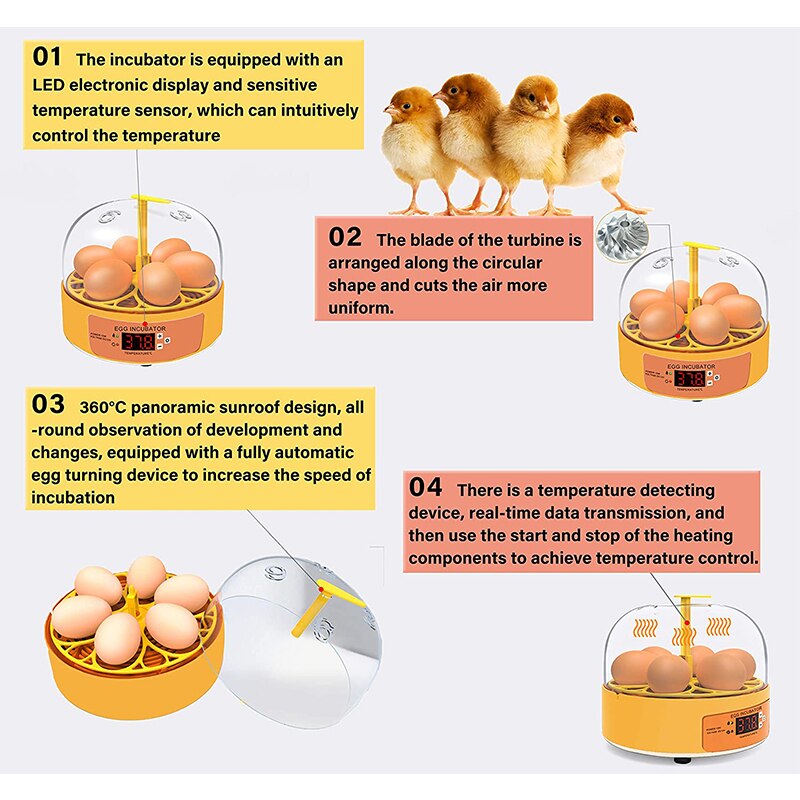 6 Eggs Digital Mini Incubators Poultry Hatching Br... – Grandado