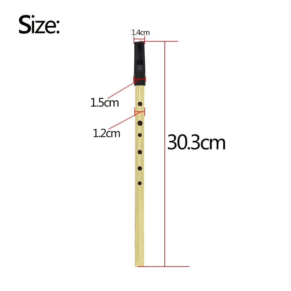 Deluxe Traditional Tin Penny Whistle 6 holes Wind ... – Vicedeal