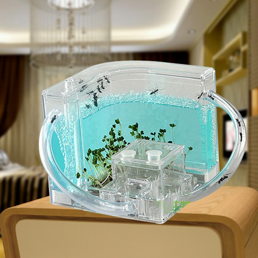 1PCS 3D Insect Acrylic Ants for Ant Farm Observed ... – Vicedeal
