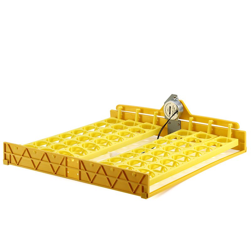 154 Eggs Quail Parrot Pigeon Bird Snake Chicken Ha... – Vicedeal