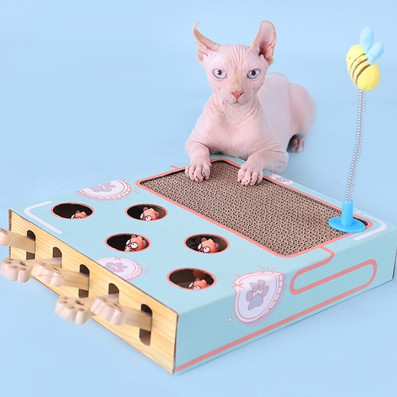 3 In 1 Cat Scraper Board Pet Interactive Fun Toys ... – Grandado