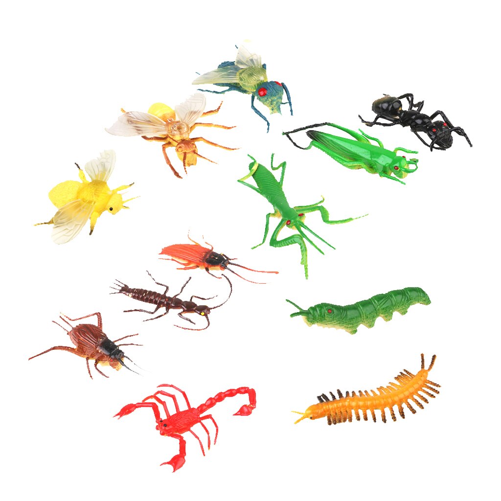 12pcs Plastic Insect Beetle Model Toy Collection I... – Grandado